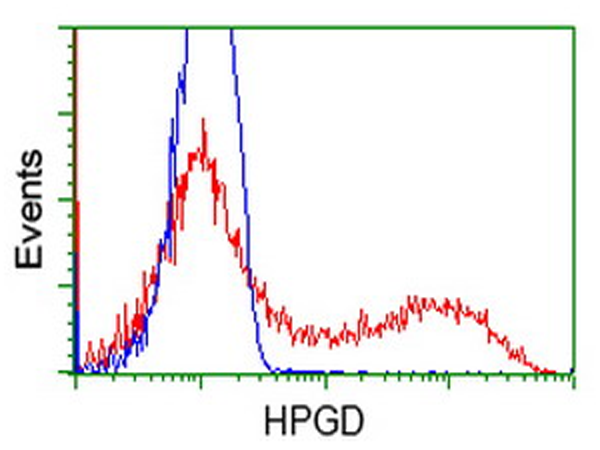 小鼠抗HPGD单克隆抗体,Anti-HPGD mouse monoclonal antibody 生命科学产品与技术服务-生工生物工程(上海 ...