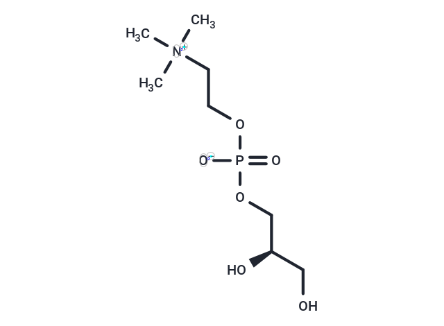 甘磷酸胆碱,sn-Glycero-3-phosphocholine ,CAS : [28319-77-9] - 生命科学产品与技术服务-生工 ...
