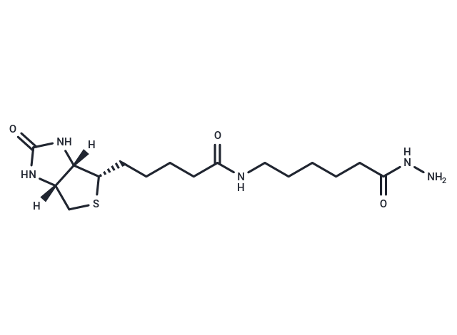 生物素LC酰肼，10 mM in DMSO 溶液,Biotin LC hydrazide, 10 mM in DMSO ,CAS : [109276-34-8] - 生命科学产品与技术服务-生 ...