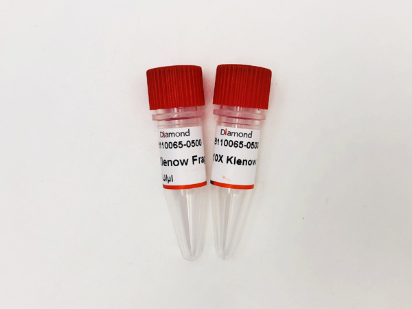Klenow片段,Klenow Fragment 生命科学产品与技术服务-生工生物工程(上海)股份有限公司