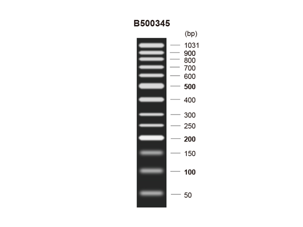 DNA 分子量标准Marker (50~1031 bp) ,DNA Marker (50~1031 bp) 生命科学产品与技术服务-生工生物 ...