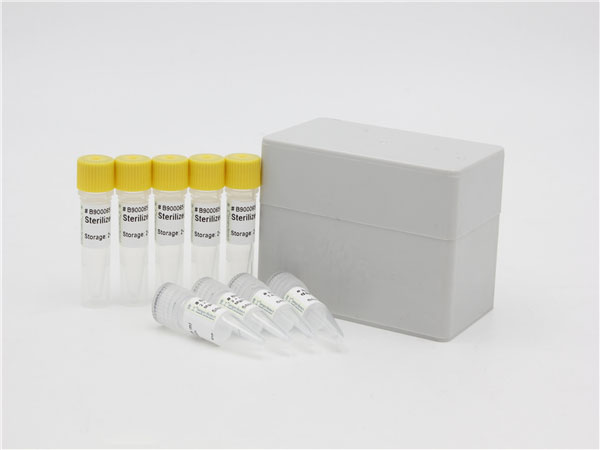 高 GC 含量模板 PCR 扩增试剂盒,GC-rich PCR Kit 生命科学产品与技术服务-生工生物工程(上海)股份有限公司