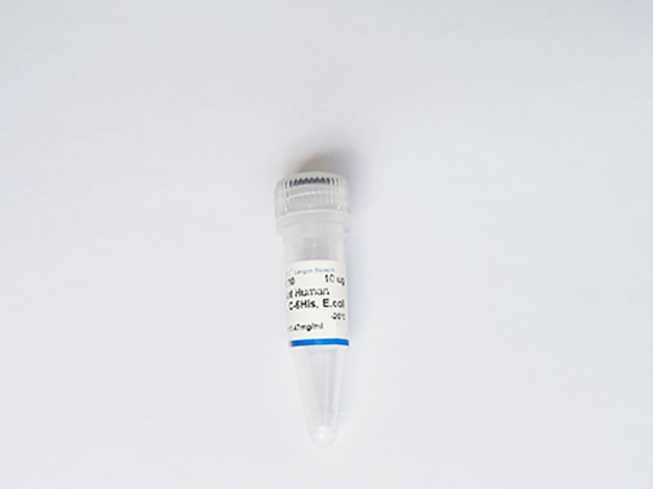 重组人TPK1, C-6His, Human cells,Recombinant Human Thiamin ...