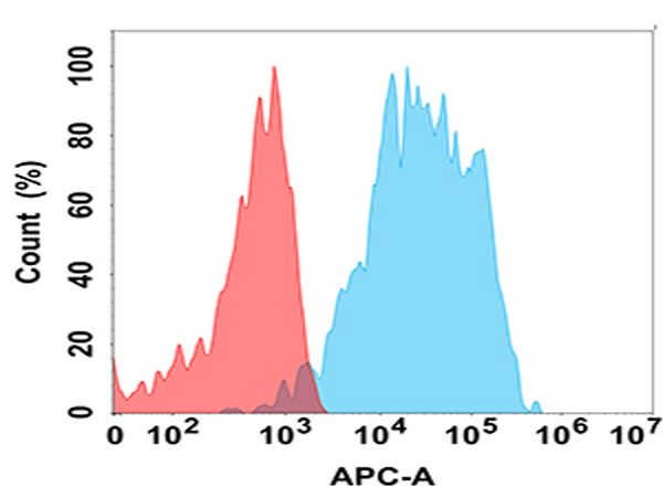 兔抗cd200单克隆抗体anti Cd200 Rabbit Monoclonal Antibody 生命科学产品与技术服务 生工生物工程