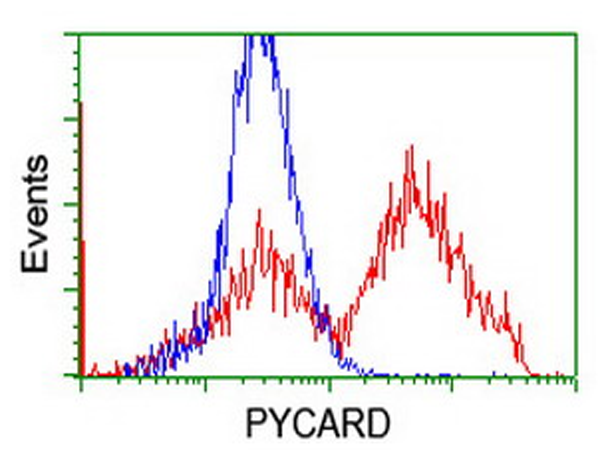 小鼠抗PYCARD单克隆抗体,Anti-PYCARD mouse monoclonal antibody 生命科学产品与技术服务-生工生物工程 ...