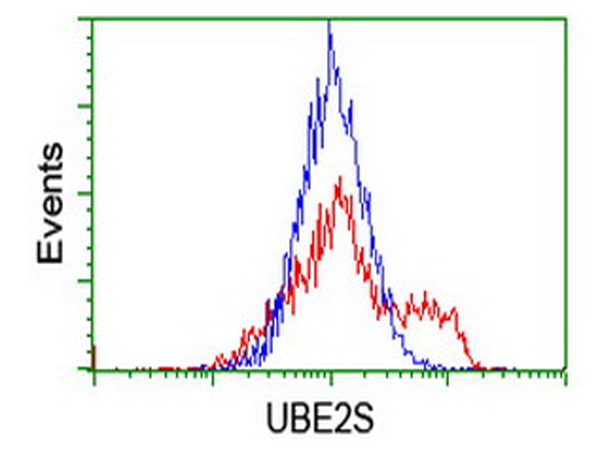 小鼠抗UBE2S单克隆抗体,Anti-UBE2S mouse monoclonal antibody 生命科学产品与技术服务-生工生物工程 ...
