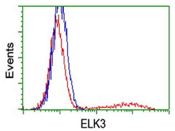 小鼠抗ELK3单克隆抗体,Anti-ELK3 mouse monoclonal antibody 生命科学产品与技术服务-生工生物工程(上海)股份有限公司