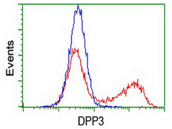 小鼠抗DPP3单克隆抗体,Anti-DPP3 mouse monoclonal antibody 生命科学产品与技术服务-生工生物工程(上海 ...