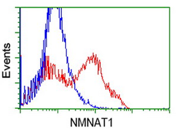 小鼠抗NMNAT1单克隆抗体,Anti-NMNAT1 mouse monoclonal antibody 生命科学产品与技术服务-生工生物工程 ...