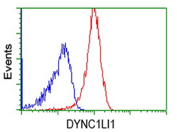 小鼠抗DYNC1LI1单克隆抗体,Anti-DYNC1LI1 mouse monoclonal antibody 生命科学产品与技术服务-生工 ...