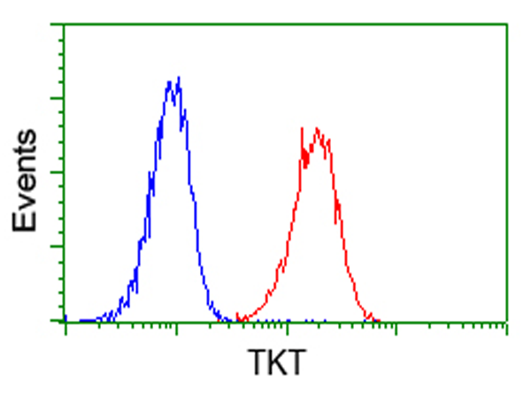 小鼠抗TKT单克隆抗体,Anti-TKT mouse monoclonal antibody 生命科学产品与技术服务-生工生物工程(上海)股份有限公司