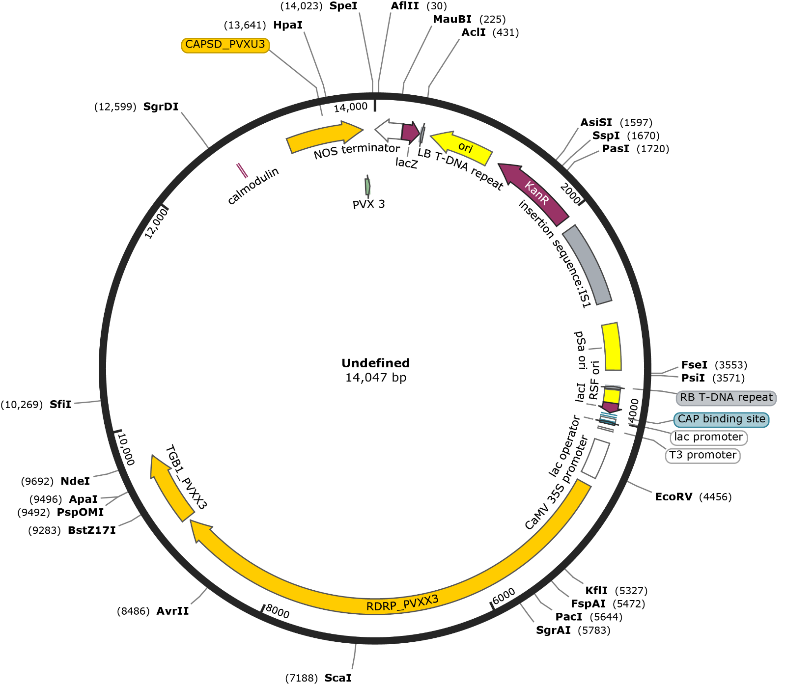 KBSeq全质粒测序 -生工生物-生命科学产品与技术服务