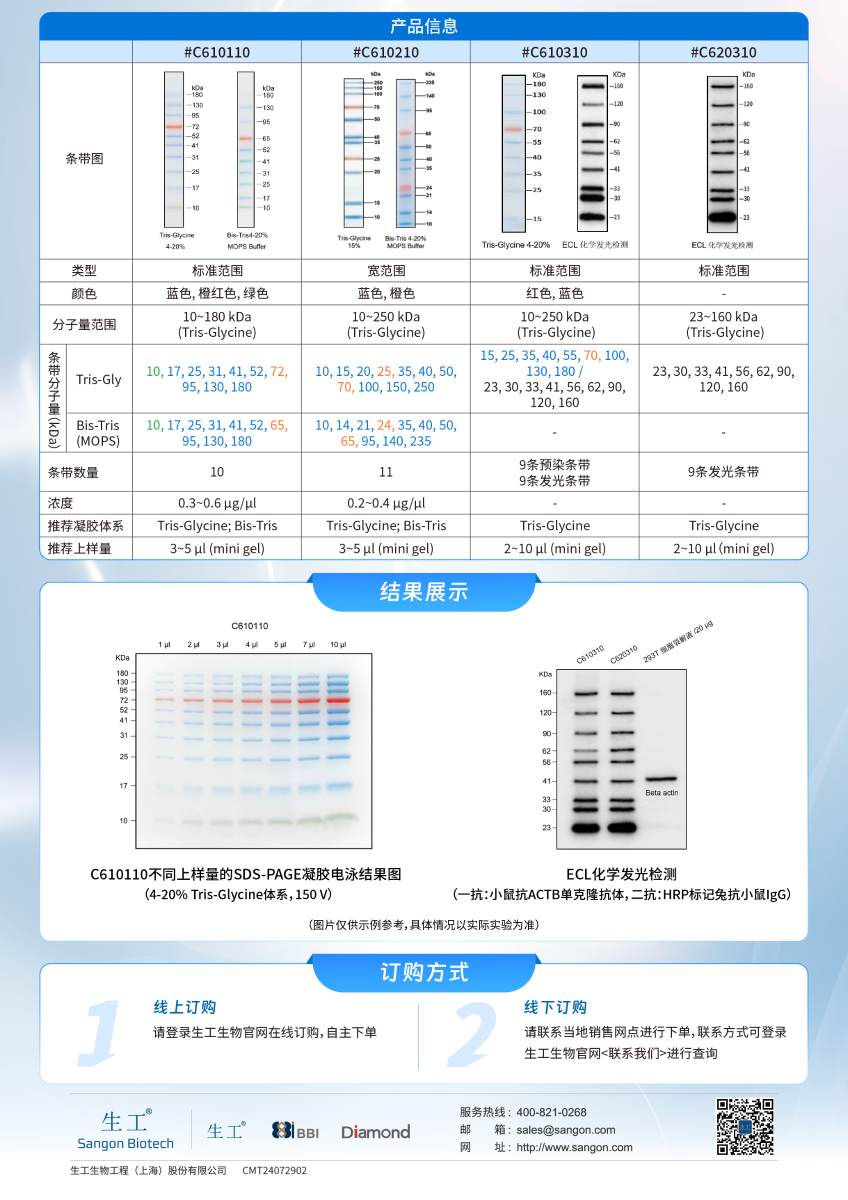 RealBand蛋白Marker促销 -生工生物-生命科学产品与技术服务