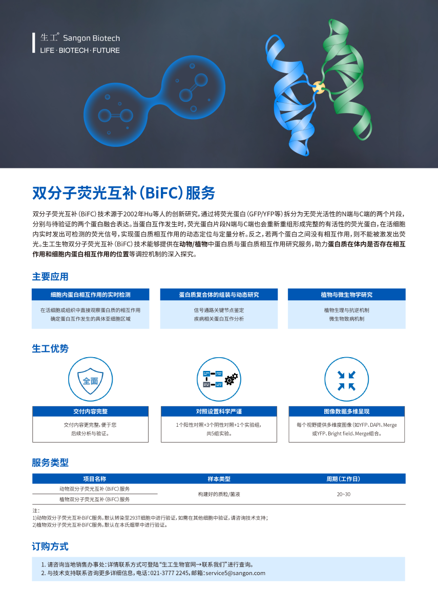 双分子荧光互补（BiFC）服务新品上市 -生工生物-生命科学产品与技术服务