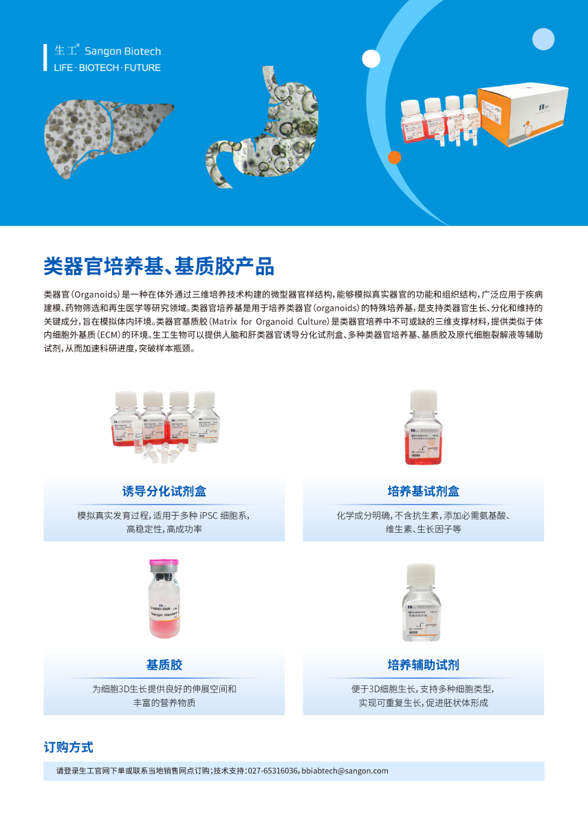 类器官产品上新 -生工生物-生命科学产品与技术服务